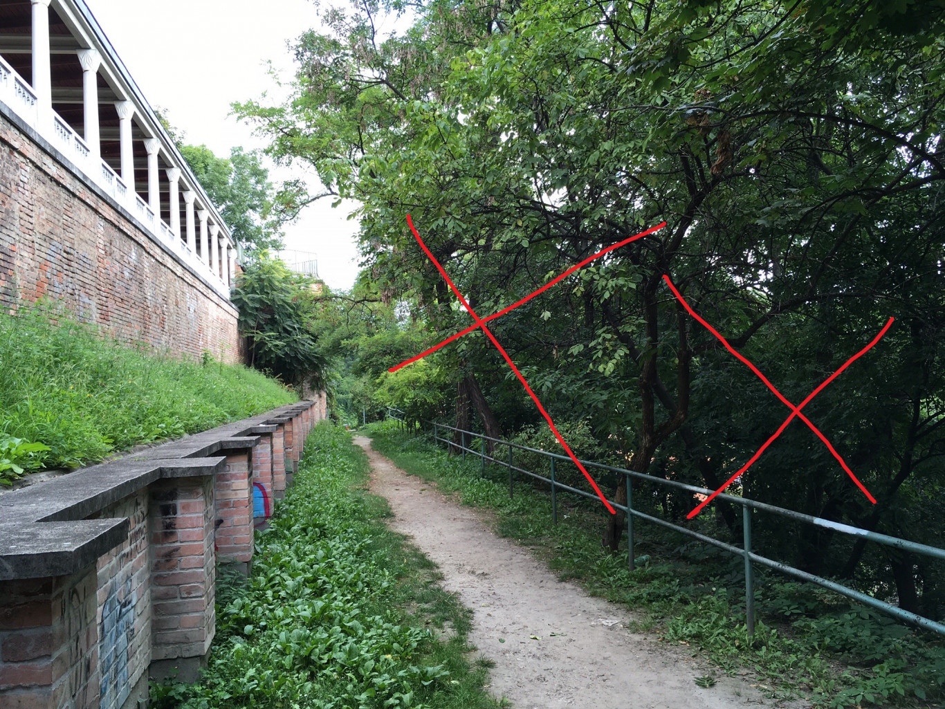 50 fát készülnek kivágni a Gül Baba türbénél