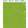 2017 színe: a Pantone 15-0343
