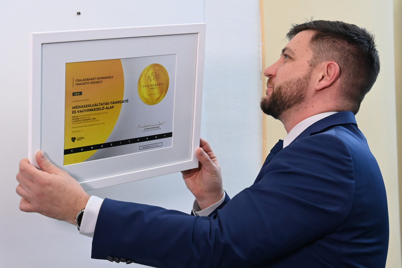 Papp Dániel: sdfsdfsdf