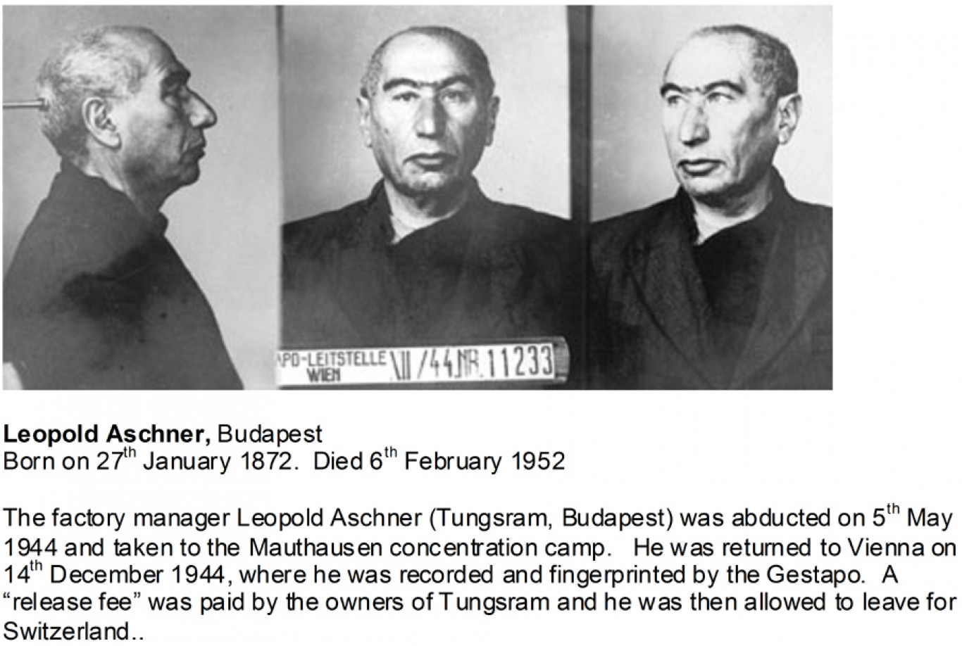 Történelmi bocsánatkérés: mégsem a fideszes Gál András Levente az első ...