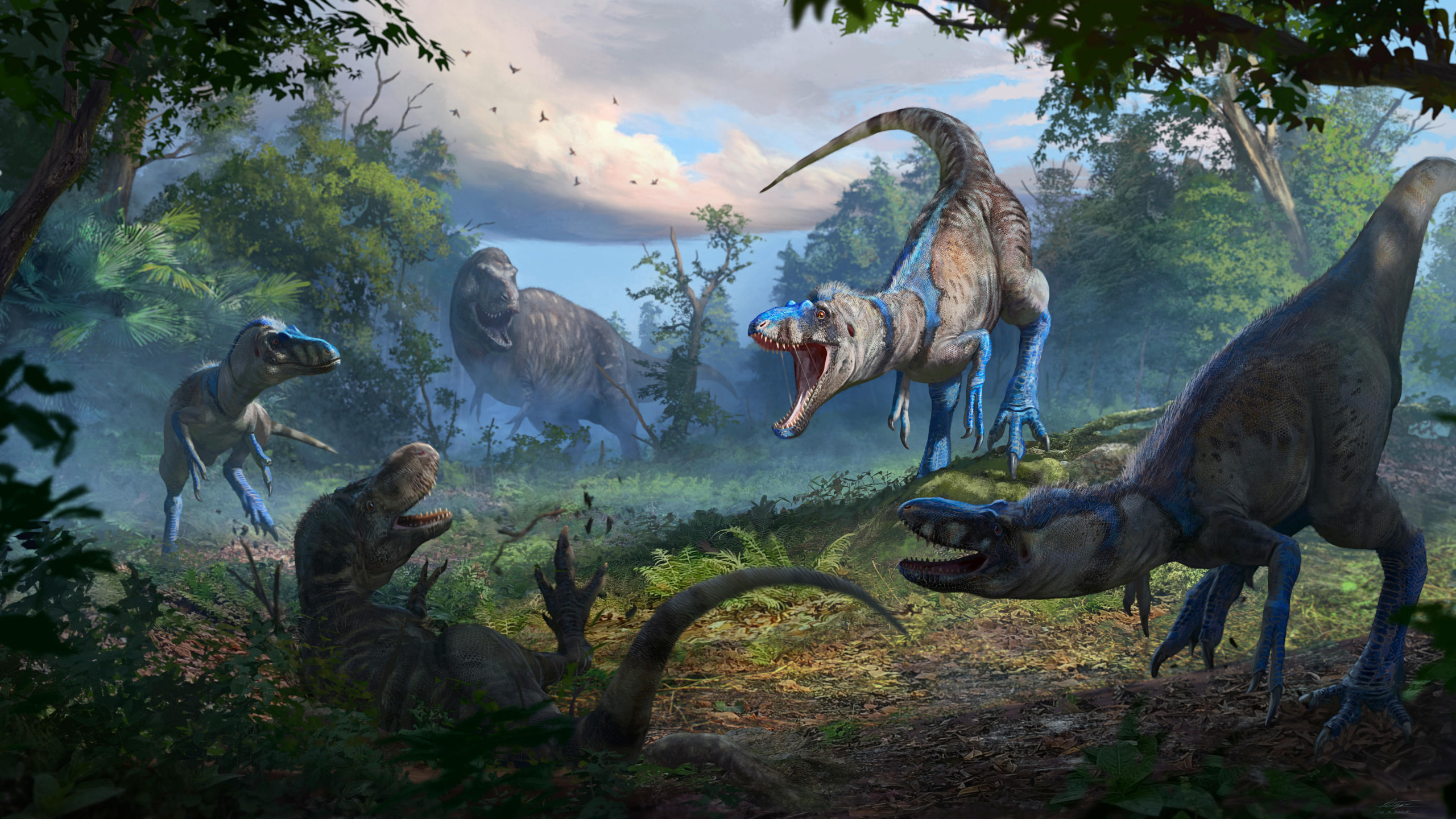 Évtizedes őslénytani vita ért véget: nem fiatal T. rex, hanem különálló ...